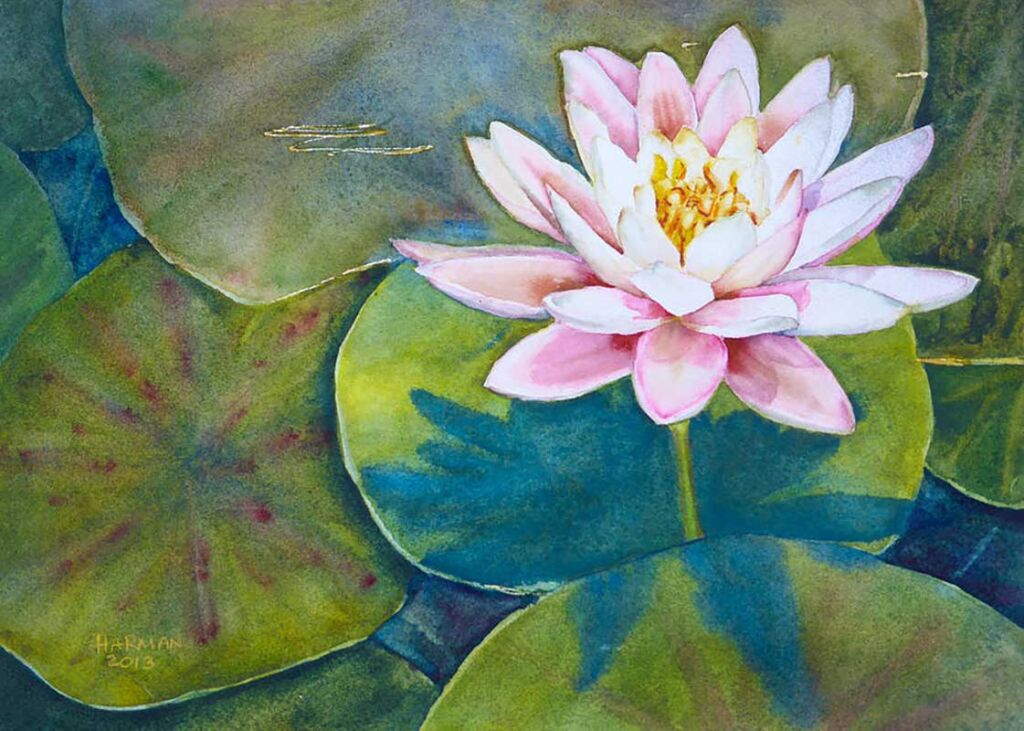 Artists – Mountain Artists Guild